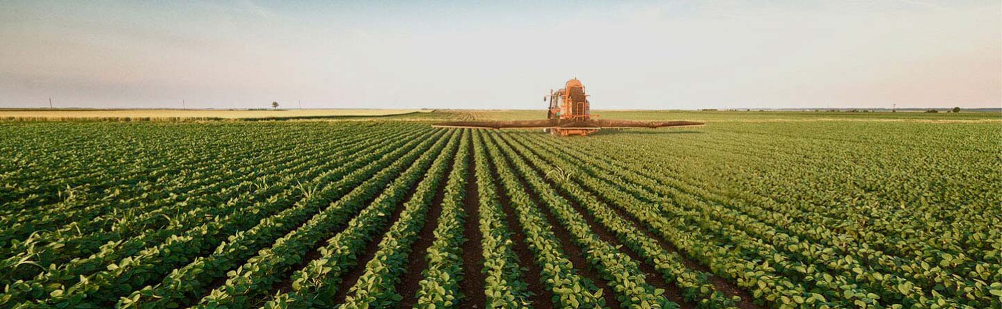 Bayer Crop Science — средства защиты растений (сзр), семена гибридов ...